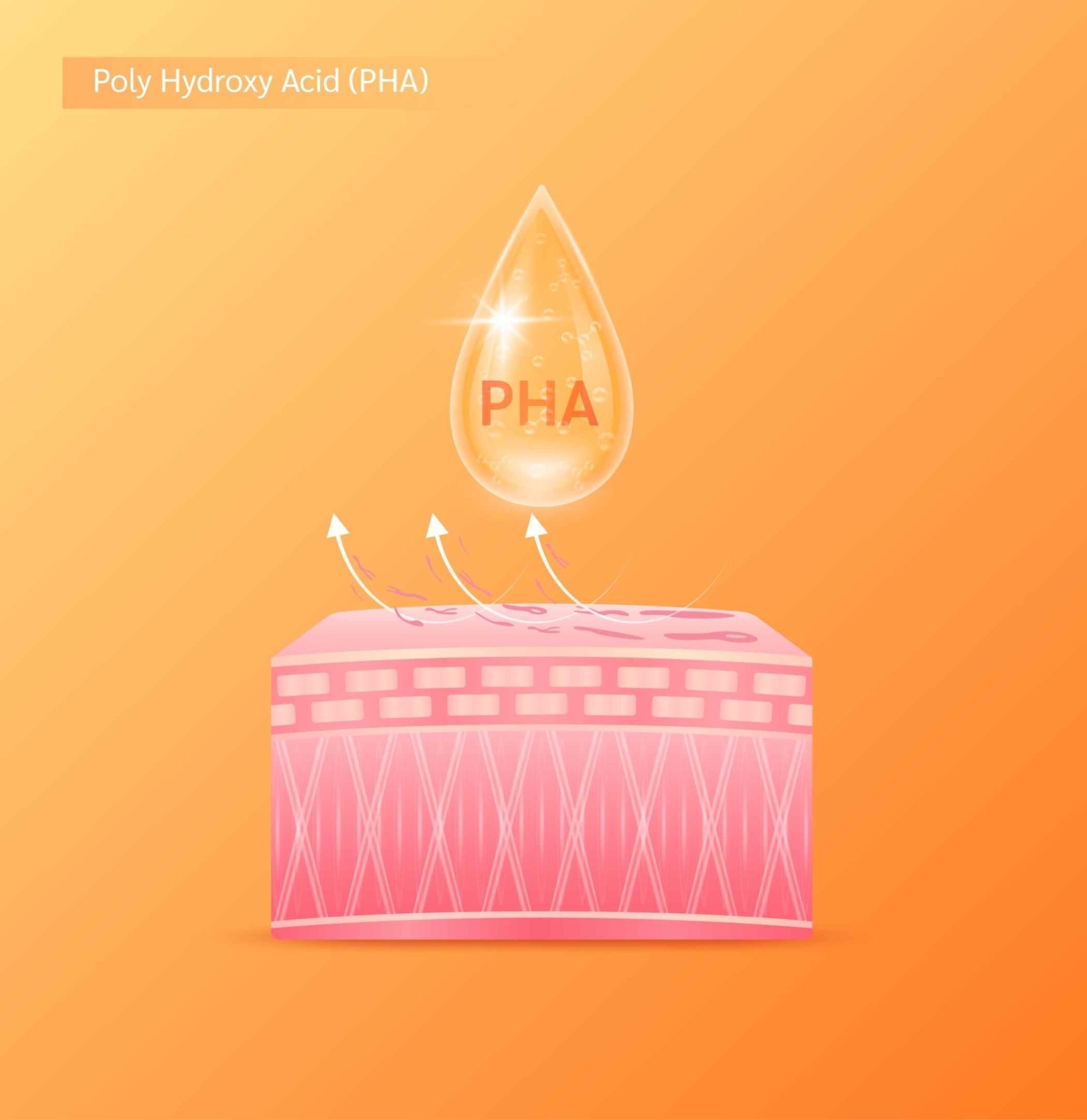 Skin Acids Explained: Top 7 Every Skincare Lover Should Know