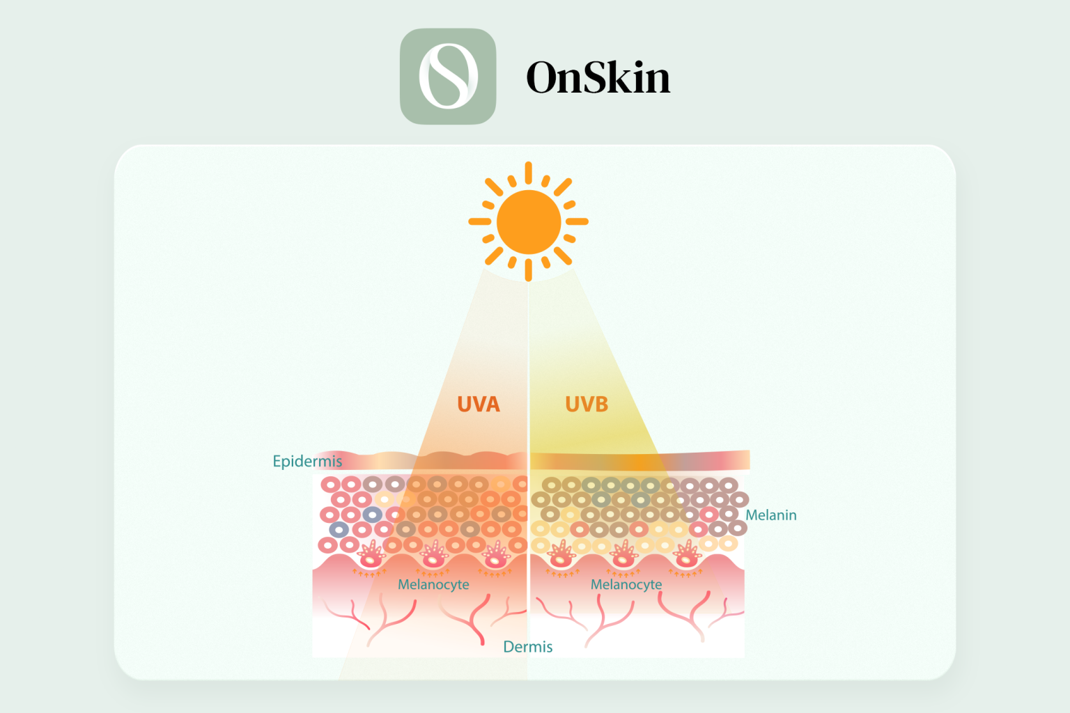 Uneven Skin Tone: How to Improve It - OnSkin